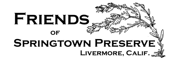 Friends of Springtown Preserve – Citizens Helping Increase Awareness ...